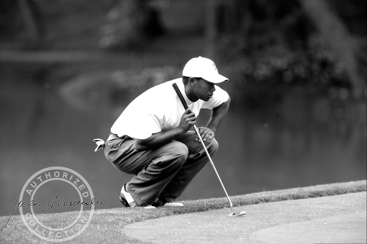 Reading Putt – Alexander Images Inc.